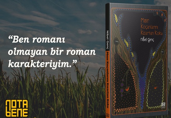 Duvarları aşan bir ilk roman: Mısır Koçanlarını Kızartan Koku - Ne ...